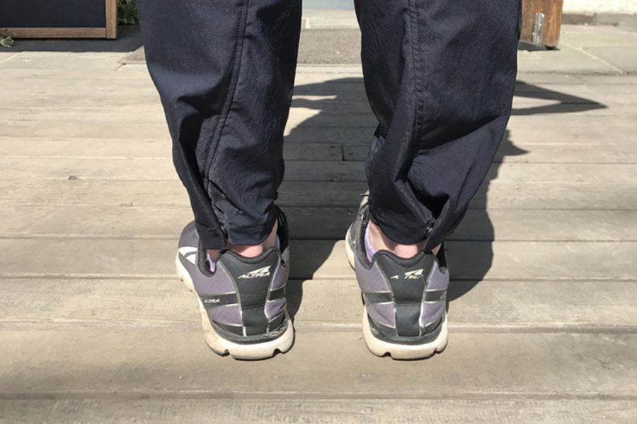 365 LIGHT - TORAYA EQUIPMENT